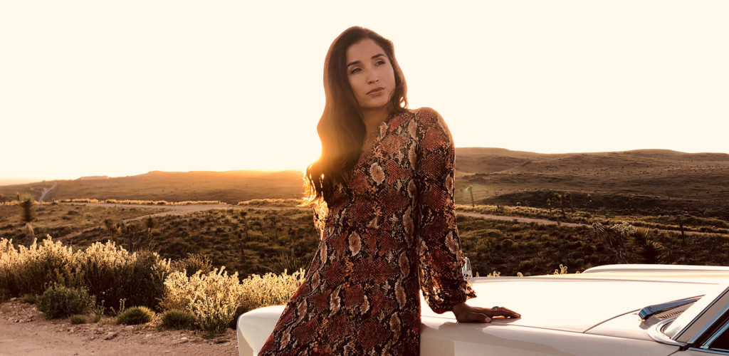 Jade Jackson: Wilderness (Album Review) - Flyctory.com